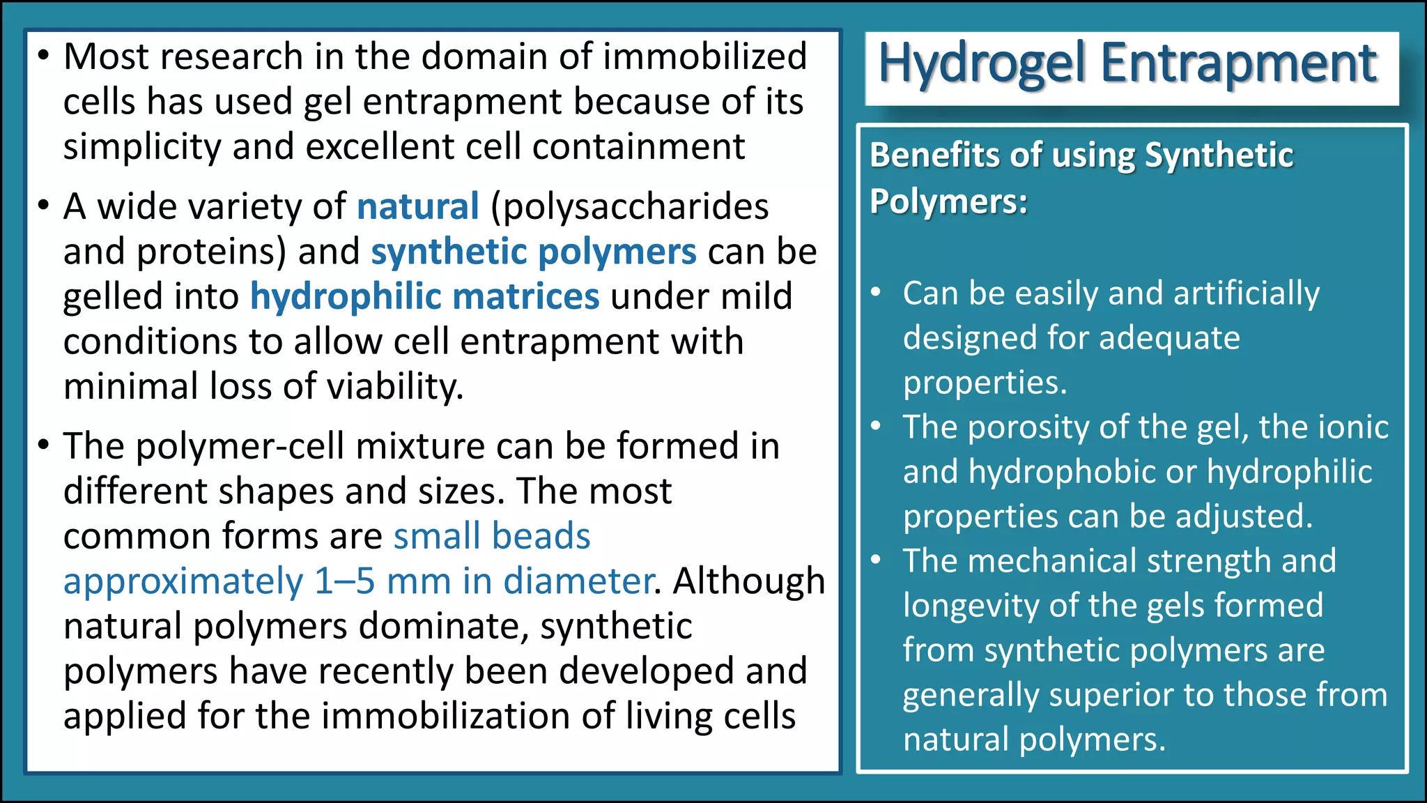 Plant Cell Immobilization.pptx