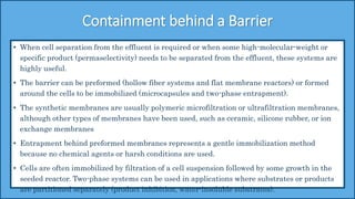 Plant Cell Immobilization.pptx