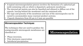 Plant Cell Immobilization.pptx