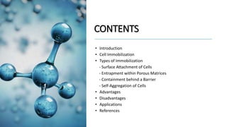 Plant Cell Immobilization.pptx | Biotech and Biomedical Industry ...