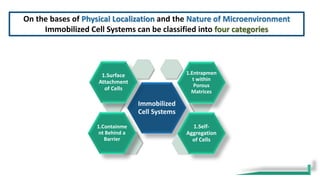 Plant Cell Immobilization.pptx