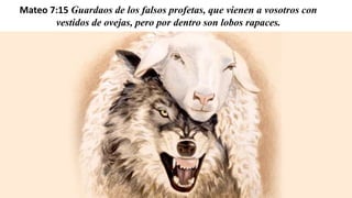 juzgar correctamente. clase 2. que dice la Biblia | PPTX