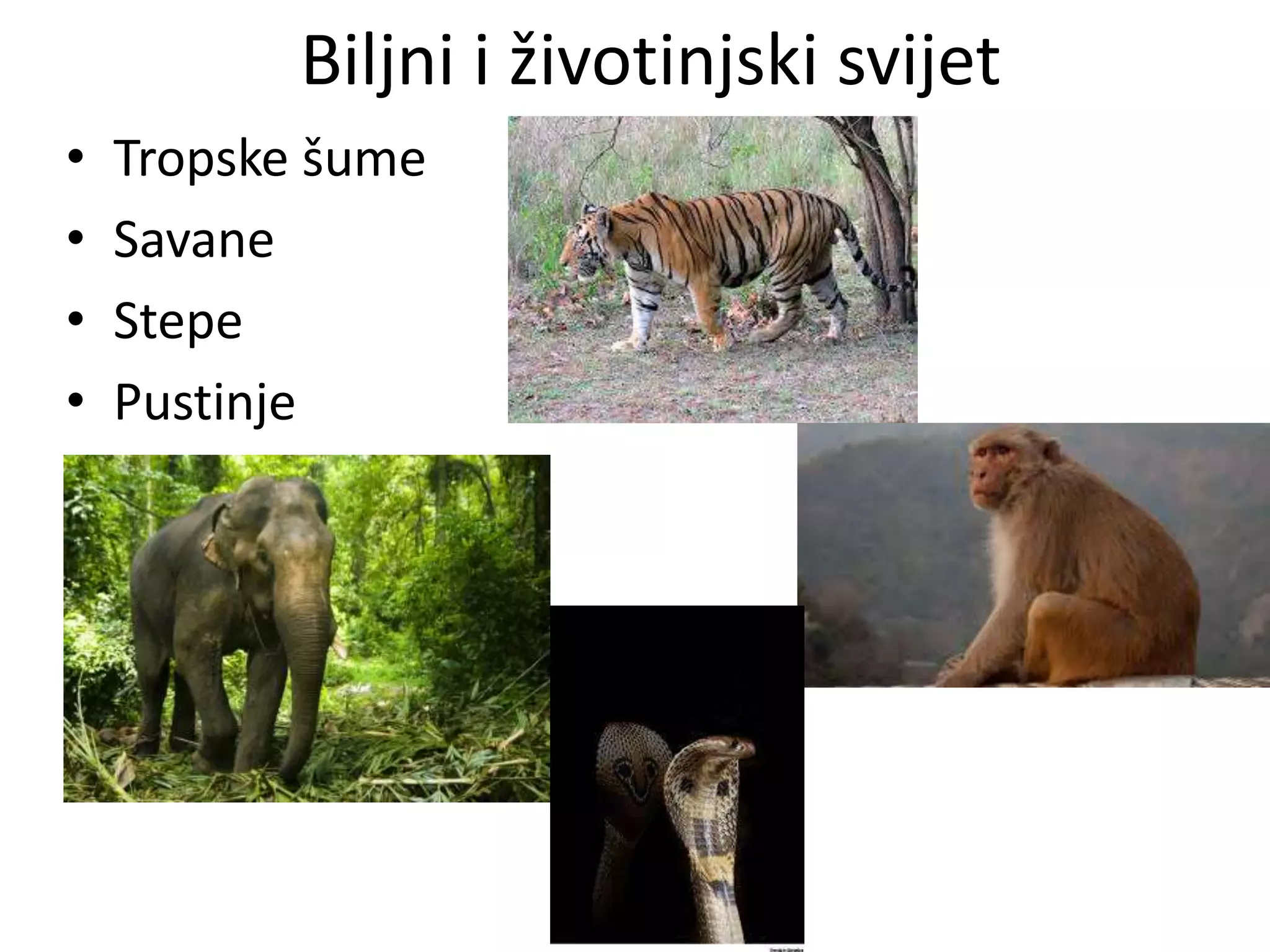 Južna Azija | PPTX