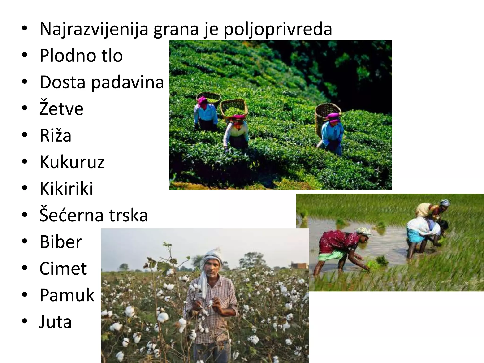 Juzna Azija stanovništvo | PPTX