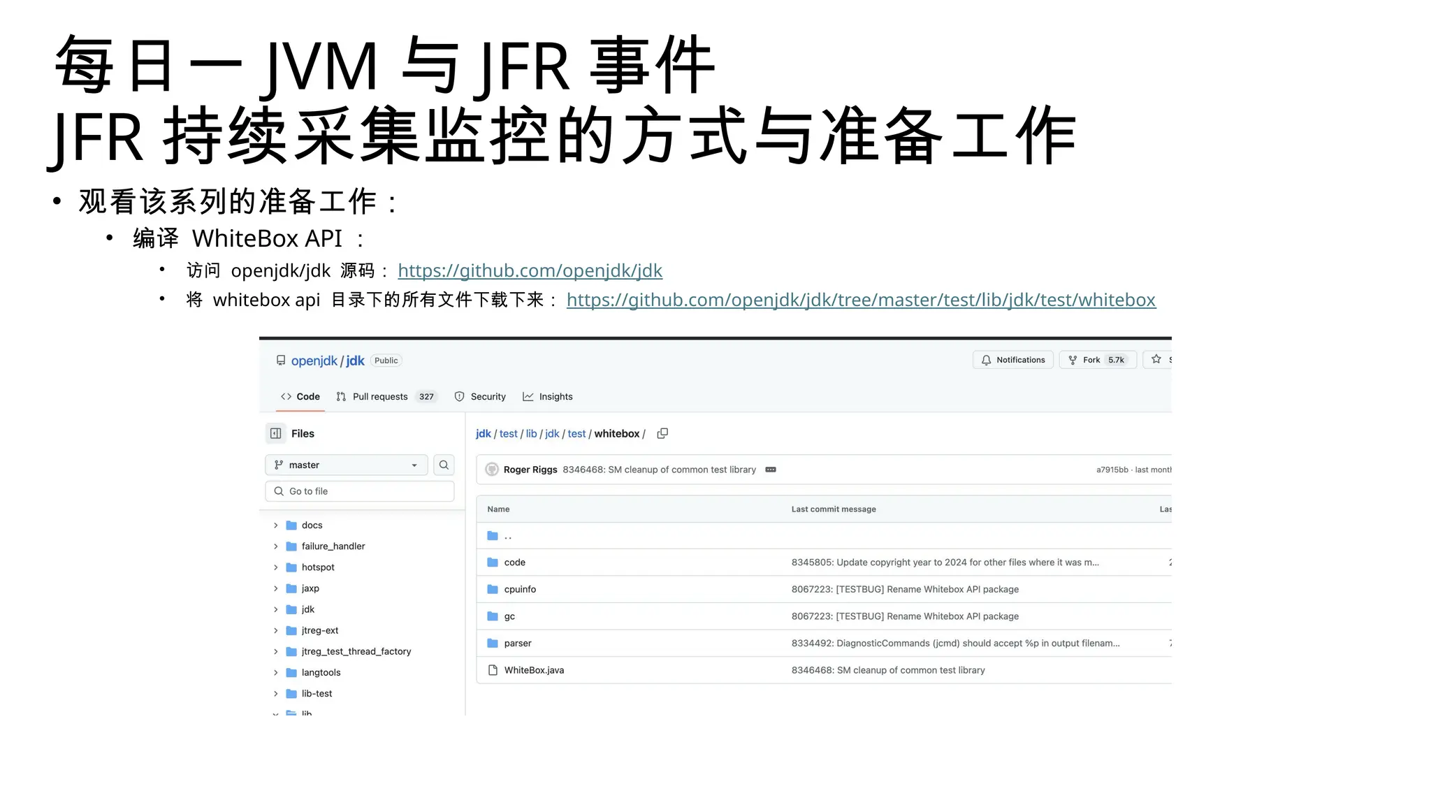 JFR（Java Flight Recorder）的持续监控方式以及相关准备工作 | PPTX