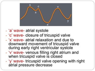 Jugular Venous Pressure | PPTX