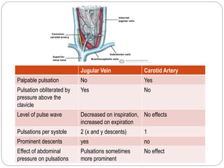 Jugular Venous Pressure | PPTX