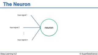 Deep Learning A-Z™: Artificial Neural Networks (ANN) - The Neuron | PPTX