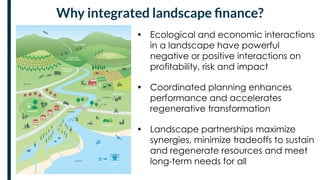 Lessons learned from integrated landscape finance to advance the Global ...