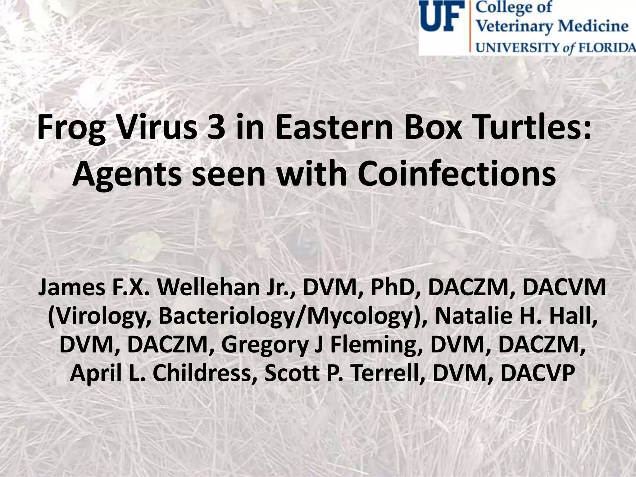 Frog virus 3 in eastern box turtles: agents seen with coinfections | PPTX | Infectious Diseases ...
