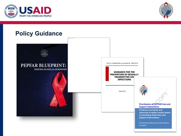 Economic Strengthening in the PEPFAR Program | PPTX | Government ...