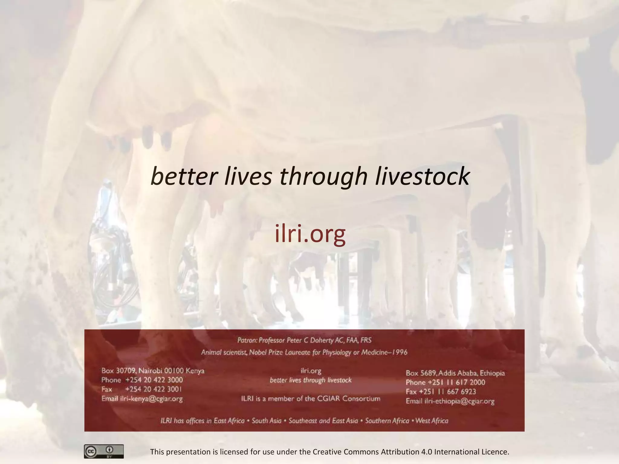 Transforming dairy value chains | PPT