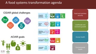Transforming the global food systems: Challenges and opportunities | PPTX