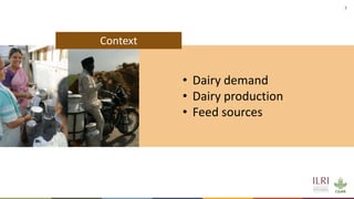 Winning solutions for climate-smart dairy animal nutrition in India | PPTX