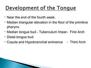 Development of the Face, Tongue, Palate, Thyroid gland | PPT