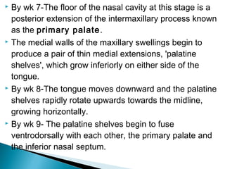 Development of the Face, Tongue, Palate, Thyroid gland | PPT