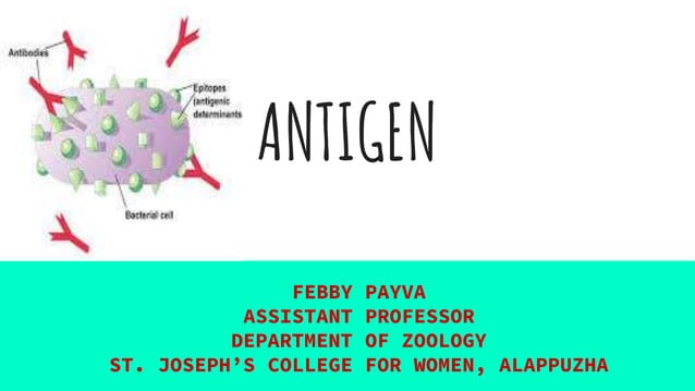 Antigen | PPT