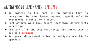 Antigen | PPT