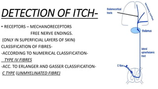 ITCH_SDL.pptx | Skin and Dermatology | Diseases and Conditions