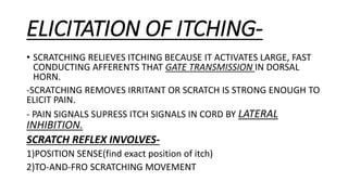 ITCH_SDL.pptx | Skin and Dermatology | Diseases and Conditions