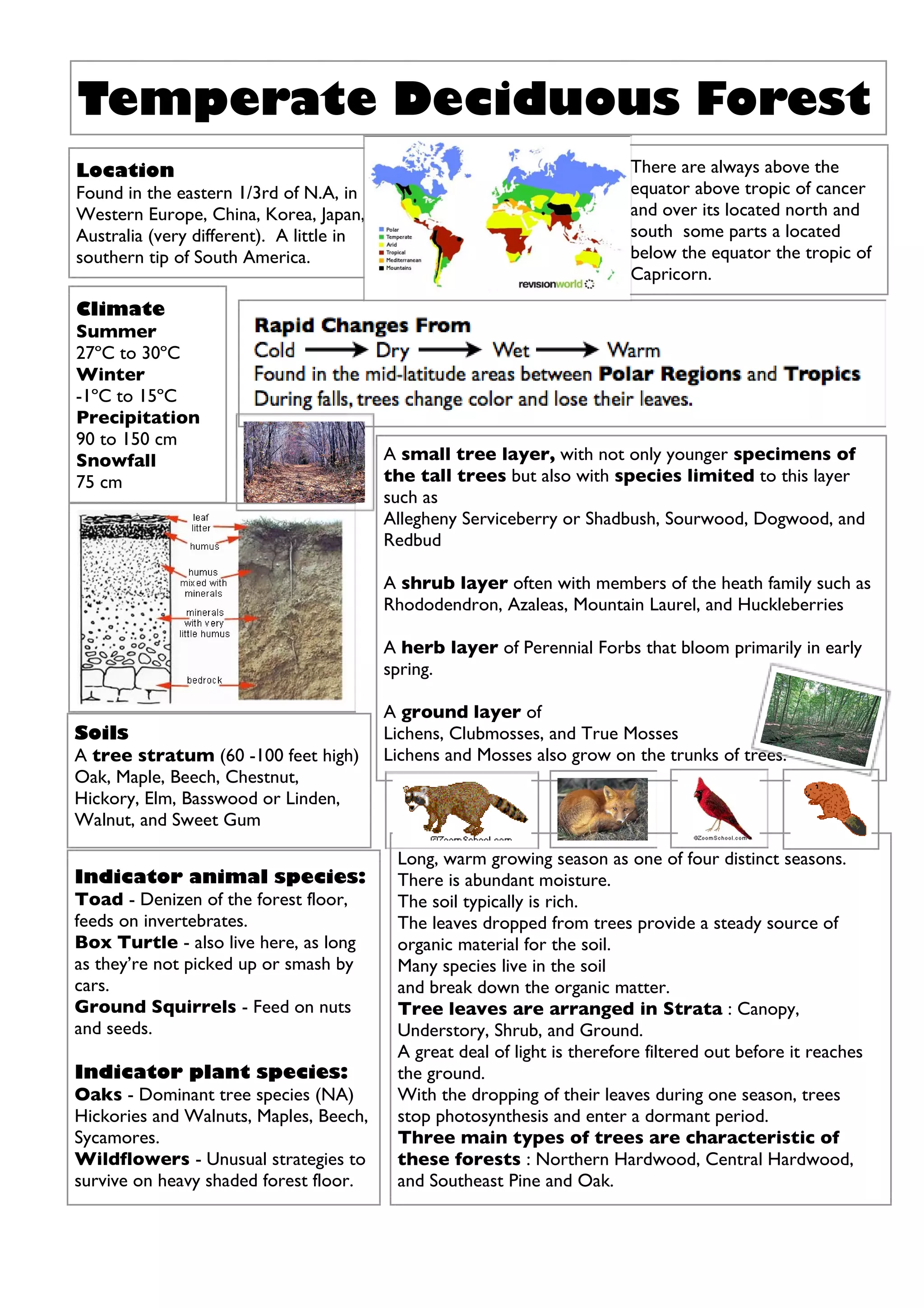 Jyar temperate deciduous forest | PDF