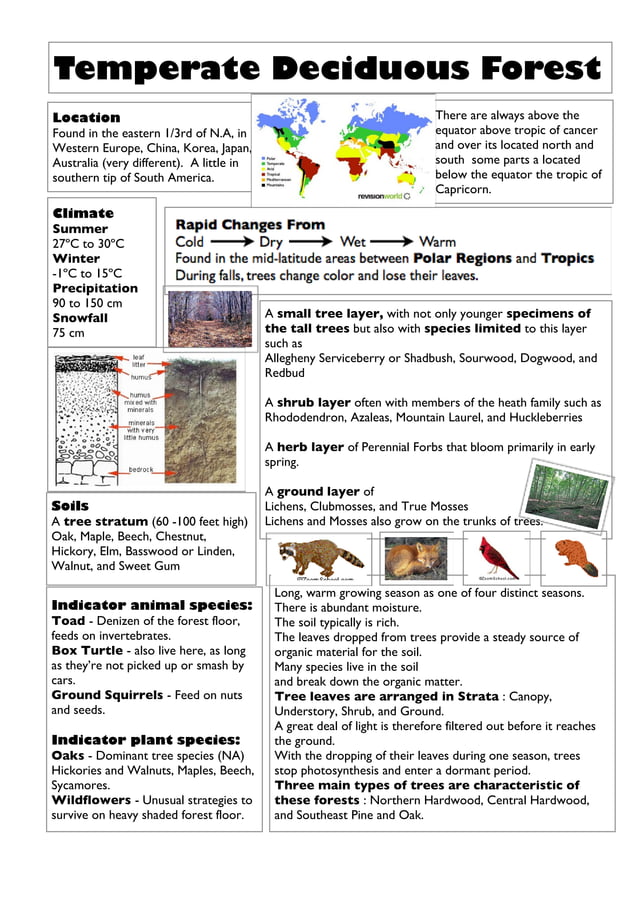 Jyar temperate deciduous forest | PDF