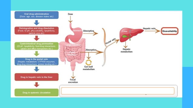 Factors Affecting Drug Absorption | PPTX | Digestive Disorders ...