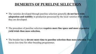 Pureline and mass selection procedure and pureline theory | PPT