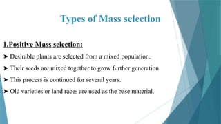 Pureline and mass selection procedure and pureline theory | PPT