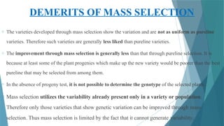 Pureline and mass selection procedure and pureline theory | PPT