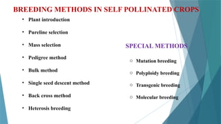 Pureline and mass selection procedure and pureline theory | PPT