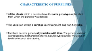 Pureline and mass selection procedure and pureline theory | PPT