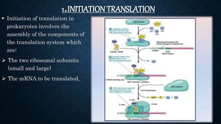 Translation in prokaryotes central dogma | PPTX