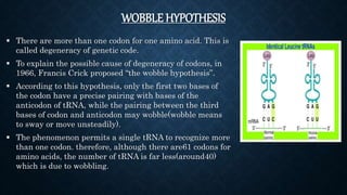 Translation in prokaryotes central dogma | PPTX