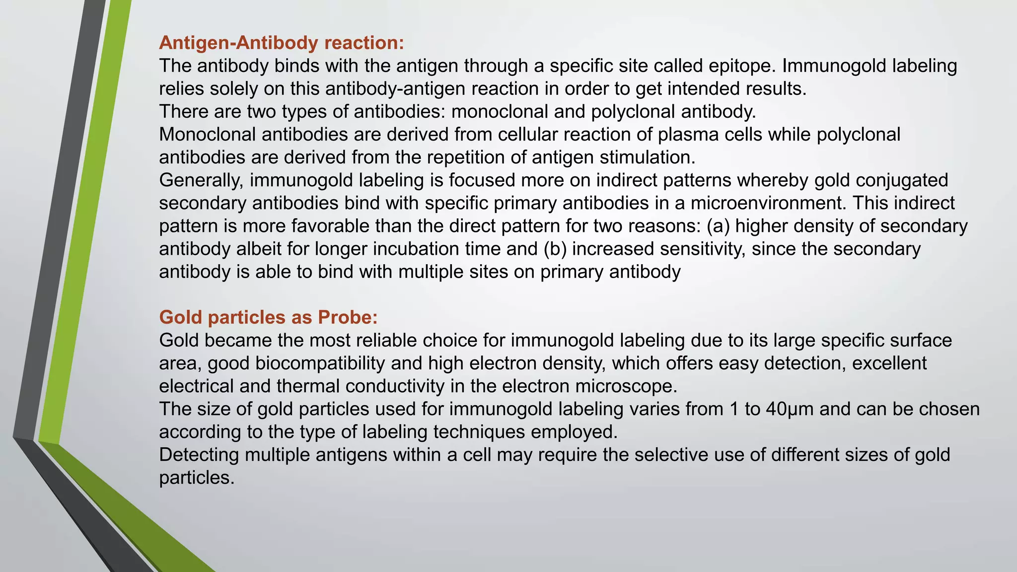 IMMUNOELECTRONMICROSCOPY.pptx