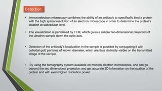 IMMUNOELECTRONMICROSCOPY.pptx