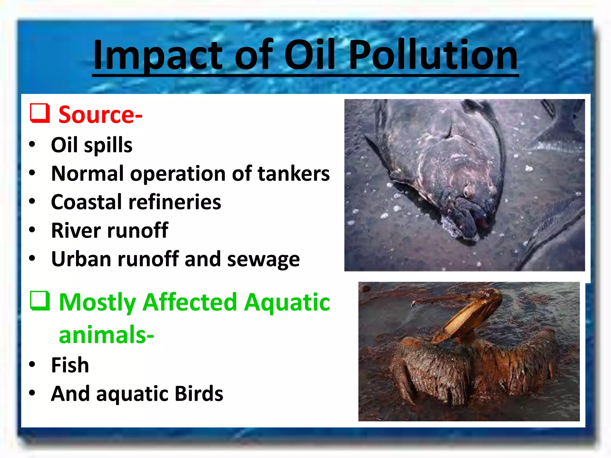 Human impact on ecosystem | PPTX