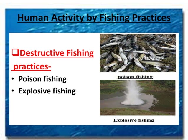 Human impact on ecosystem | PPTX