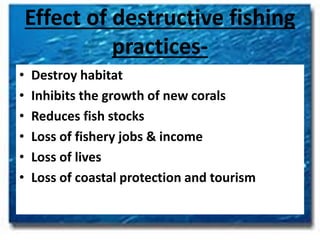 Human impact on ecosystem | PPTX