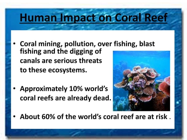 Human impact on ecosystem | PPT