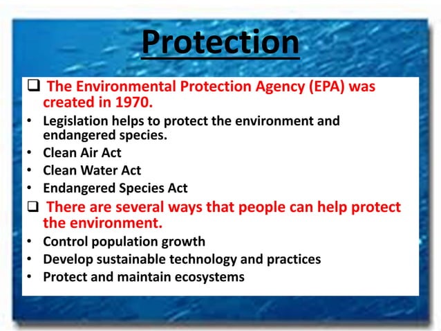 Human impact on ecosystem | PPTX