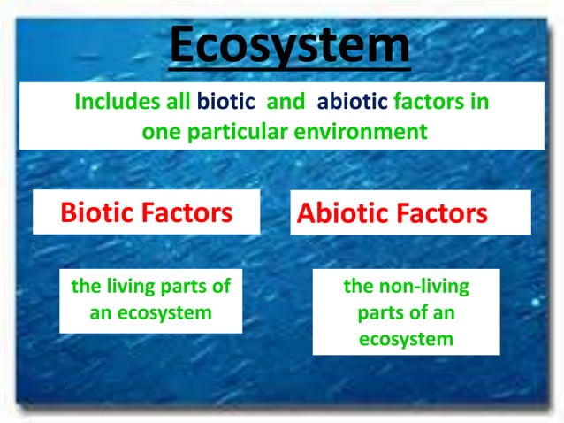 Human impact on ecosystem | PPTX