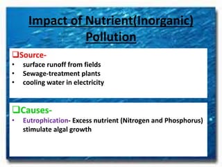 Human impact on ecosystem | PPTX