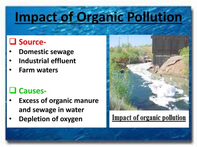 Human impact on ecosystem | PPTX