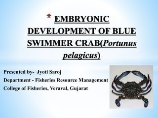 Embryonic development of Blue Swimmer Crab | PPTX