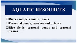 Role of aquatic resources in food and nutrition | PPTX