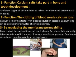 Jyoti chemistry calcium ppt | PPTX