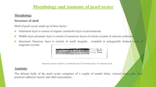 pearl culture presentation | PPTX