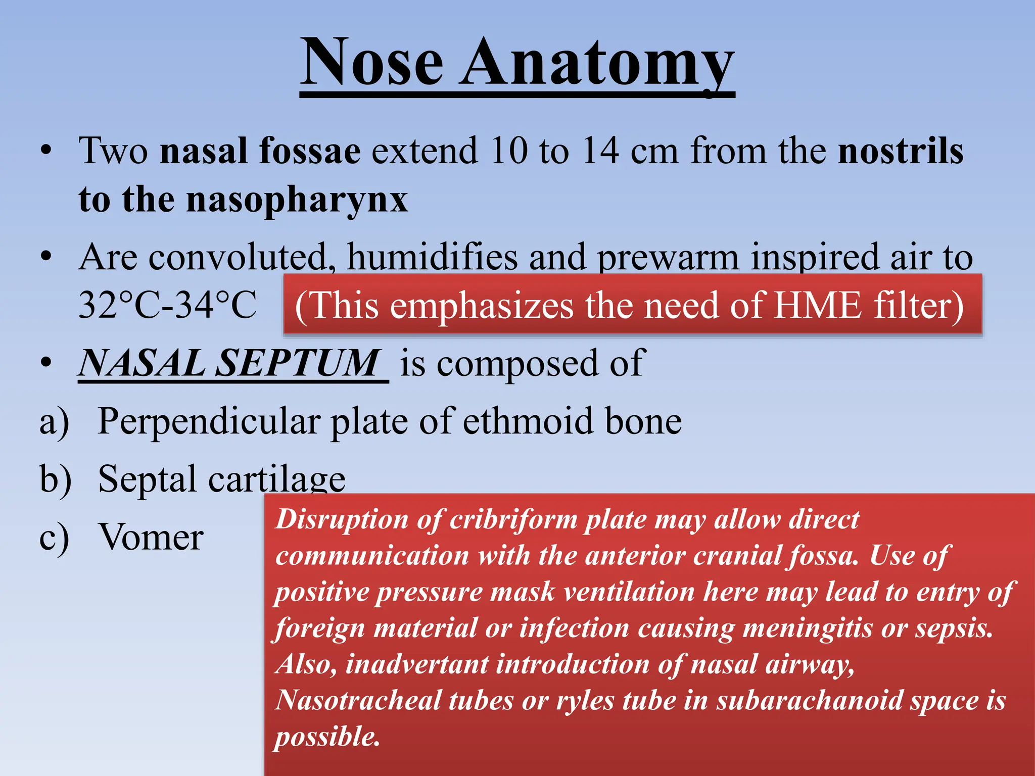 Respiratory anatomy with anaesthetic implications and applied radiology ...