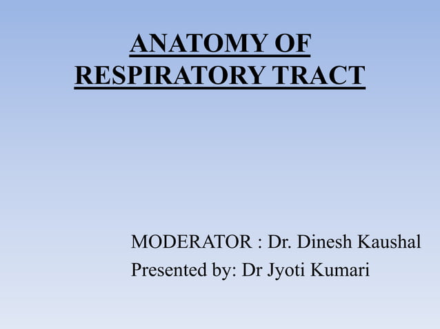 Respiratory anatomy with anaesthetic implications and applied radiology ...